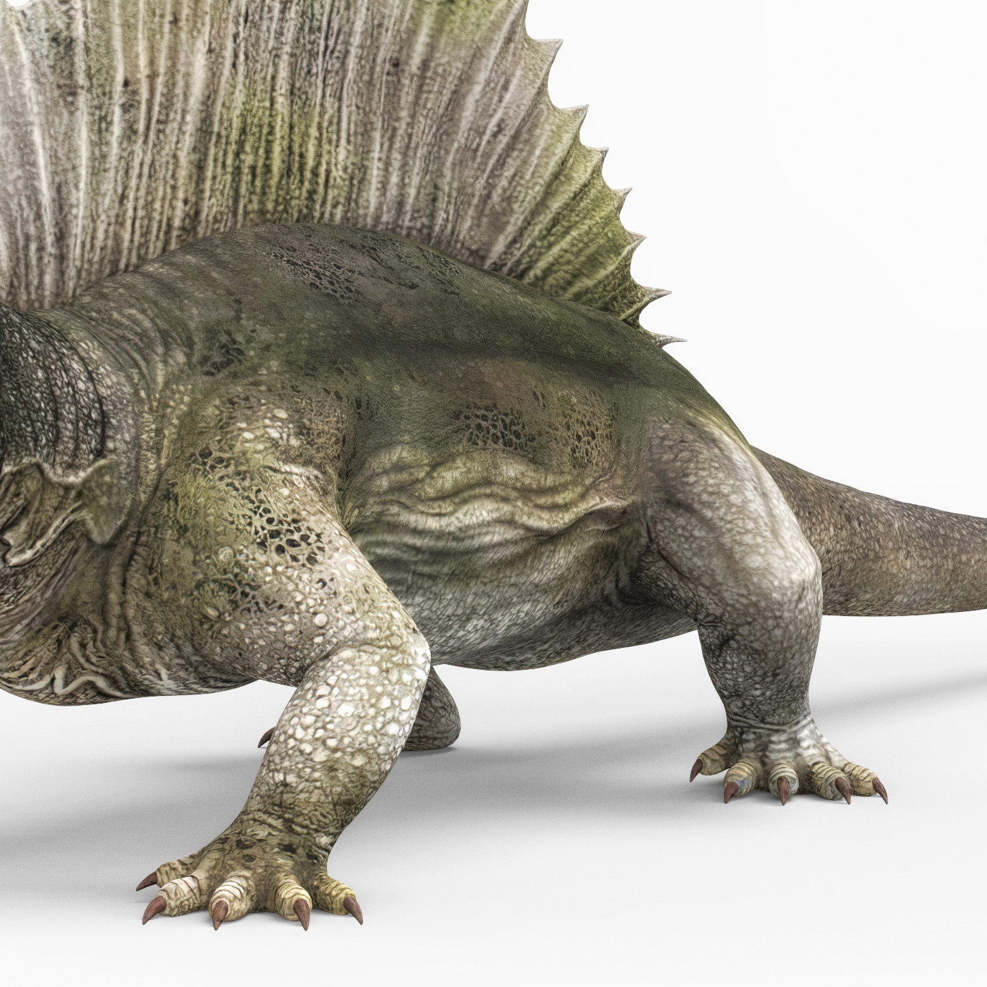 ArtStation - Dimetrodon Dinosaur | Resources