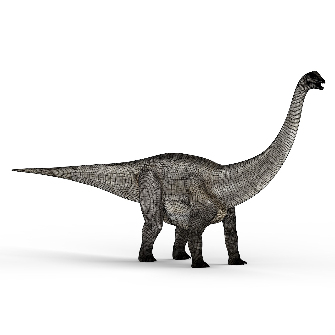 ArtStation - Diplodocus Dinosaur | Resources
