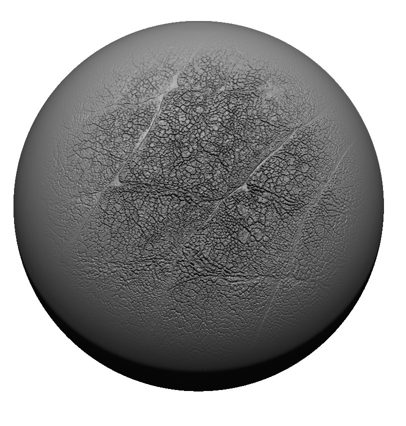 ArtStation - Leather Alphas Volume 02 | Brushes