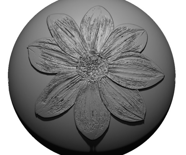 ArtStation - Flower Alphas Volume 01 | Brushes