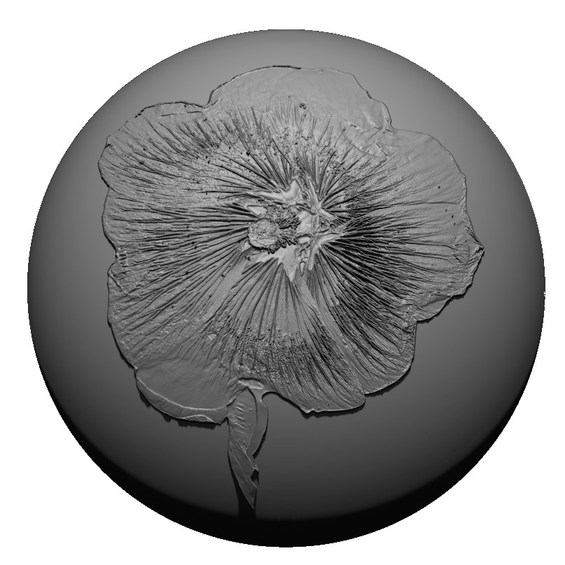 ArtStation - Flower Alphas Volume 01 | Brushes