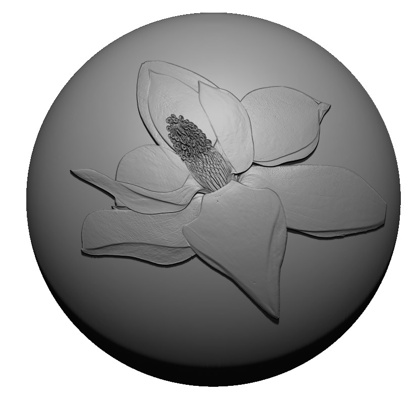 ArtStation - Flower Alphas Volume 01 | Brushes