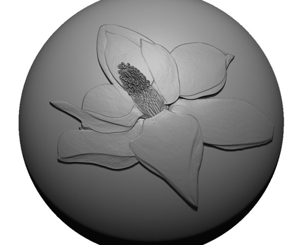 ArtStation - Flower Alphas Volume 01 | Brushes