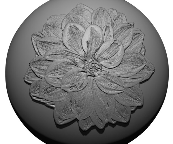 ArtStation - Flower Alphas Volume 01 | Brushes