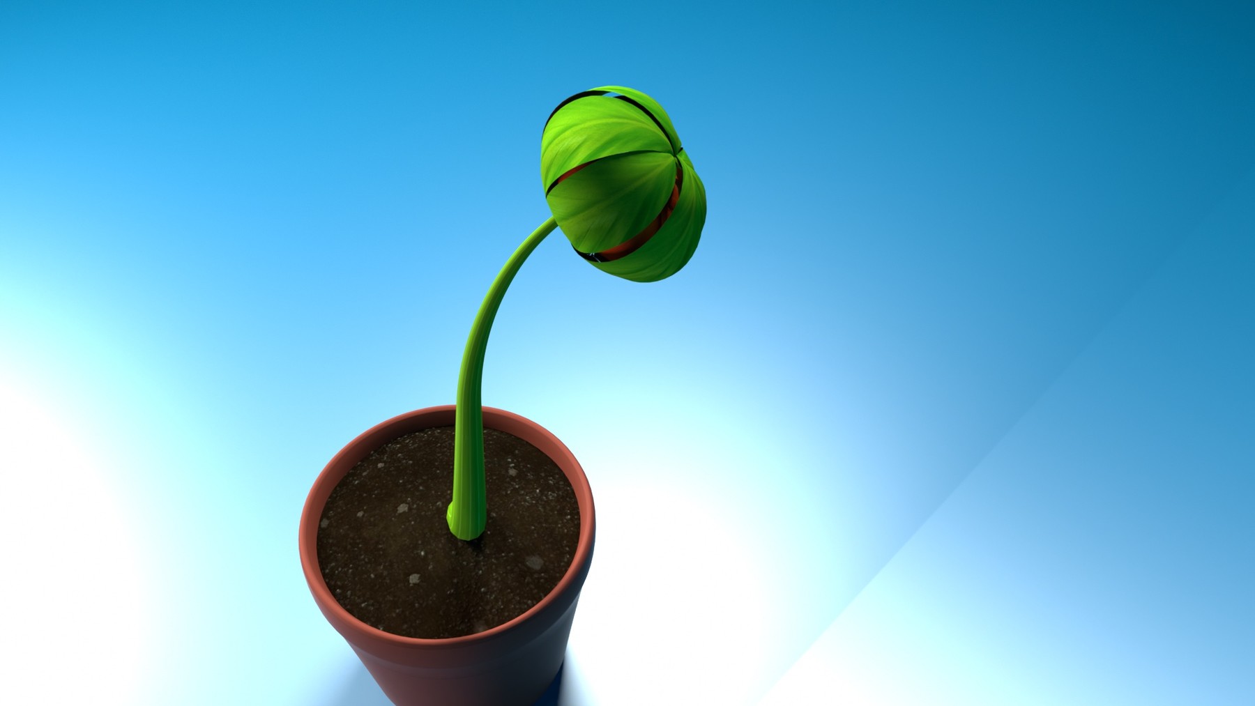 ArtStation - Orange Flower Animated | Game Assets