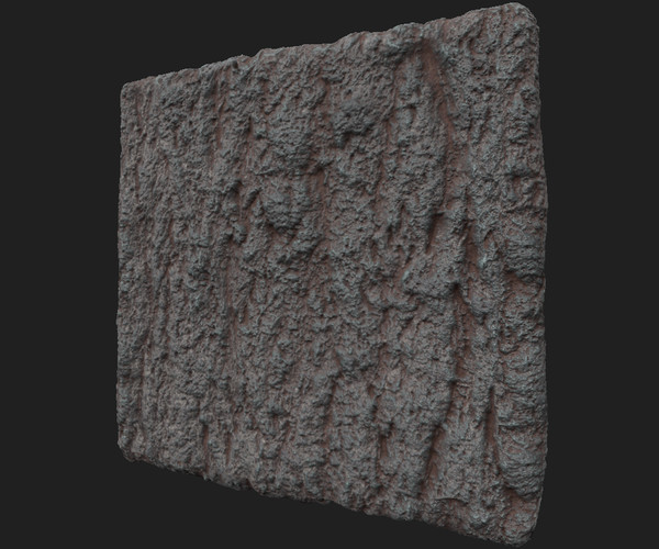 ArtStation - Tree Bark | Resources