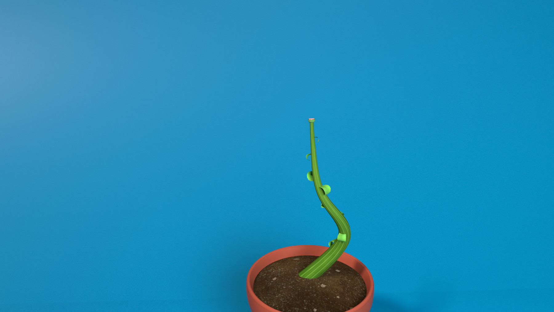 ArtStation - Daisy Flower Animated | Game Assets