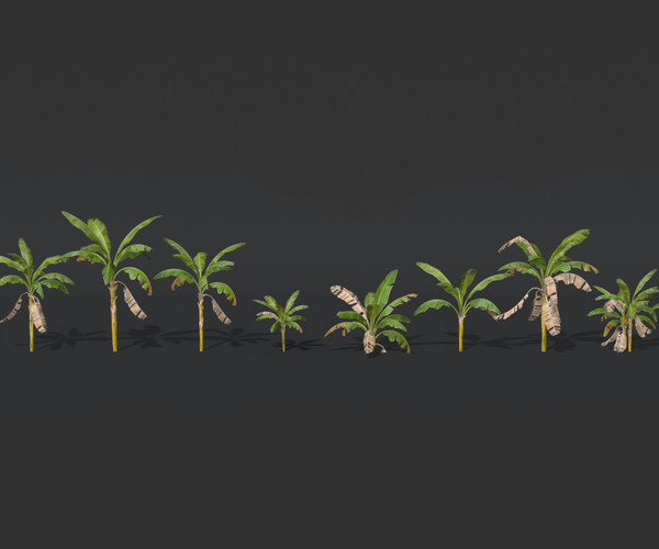 ArtStation - Banana Trees Collection | Game Assets