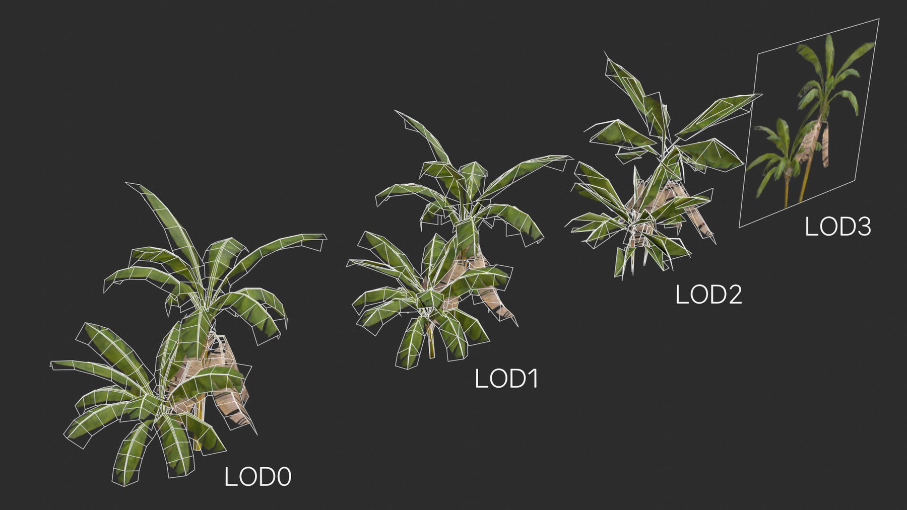 ArtStation - Banana Trees Collection | Game Assets