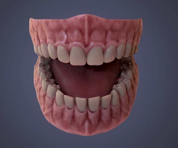 ArtStation - Teeth Real time + Scene | Game Assets