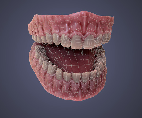ArtStation - Teeth Real time + Scene | Game Assets