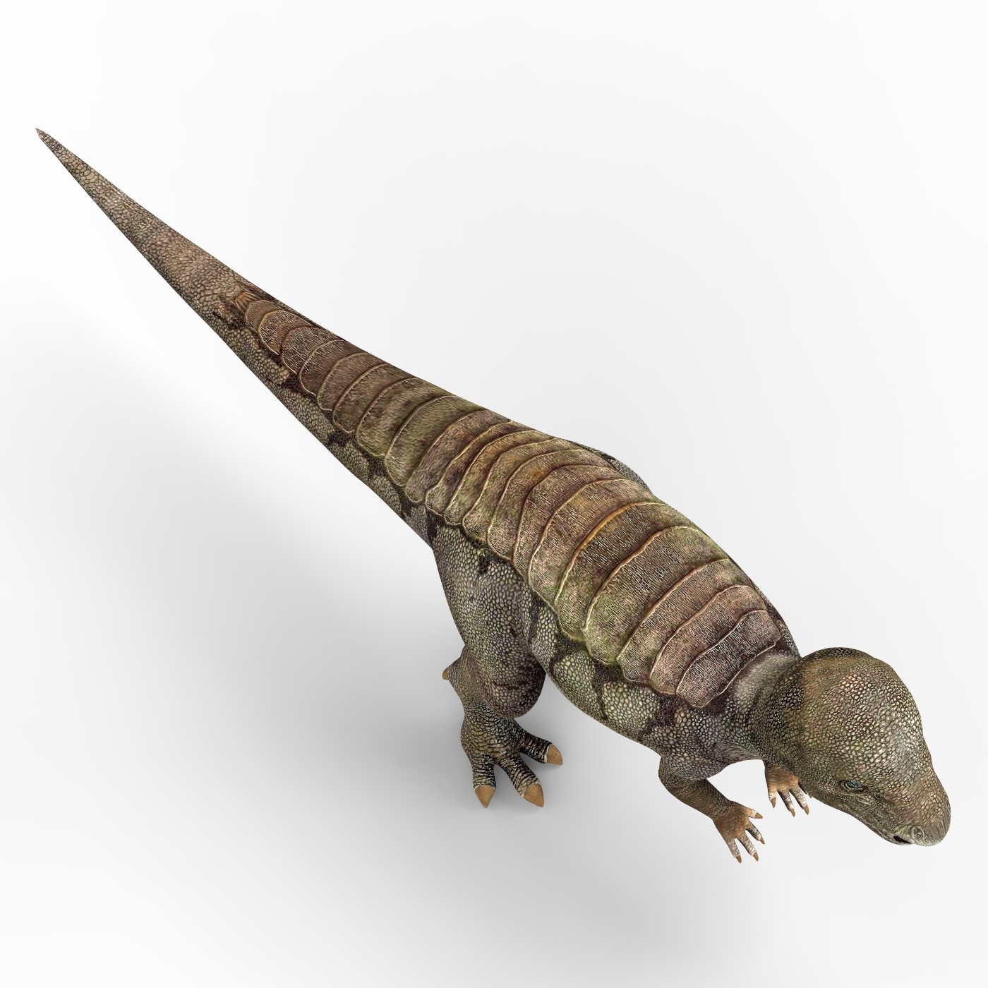 ArtStation - Pachycephalosaurus Dinosaur | Resources