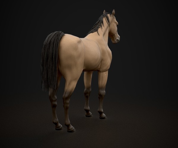 ArtStation - The Mare | Resources