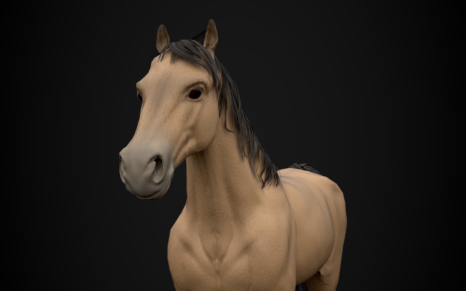 ArtStation - The Mare | Resources