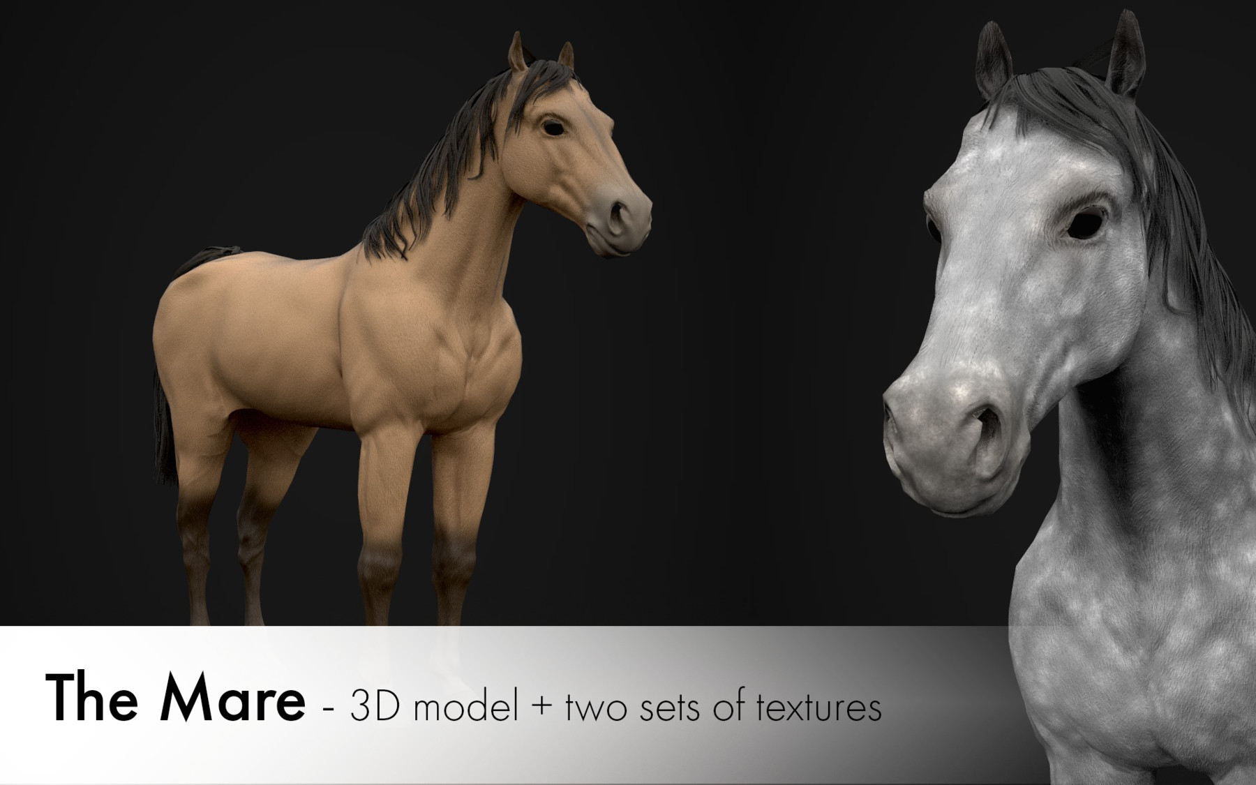 ArtStation - The Mare | Resources