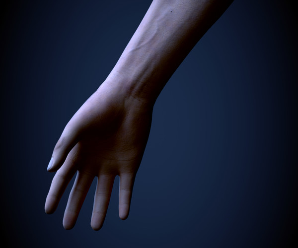 ArtStation - Two Arms Rigged Low-poly | Game Assets