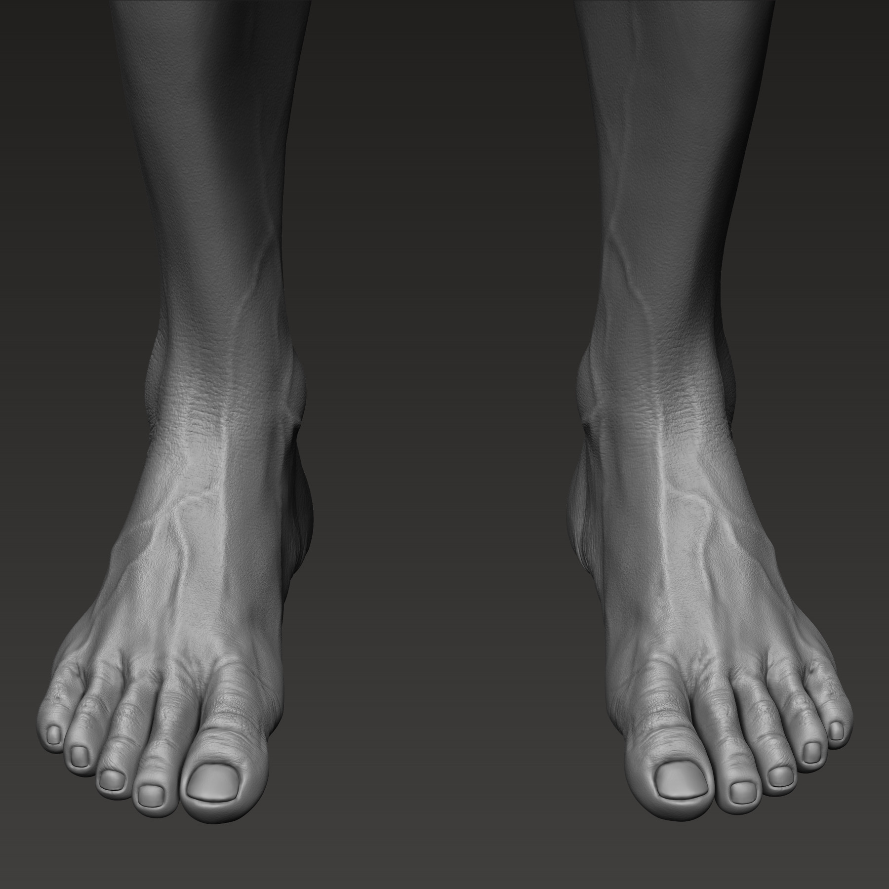 ArtStation - Anatomically correct muscular male body Low and High Poly ...