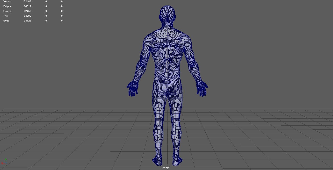 ArtStation - Anatomically correct muscular male body Low and High Poly ...