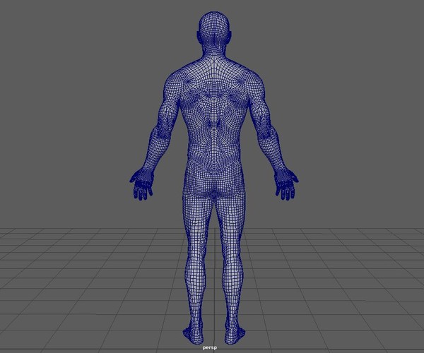 ArtStation - Anatomically correct muscular male body Low and High Poly ...