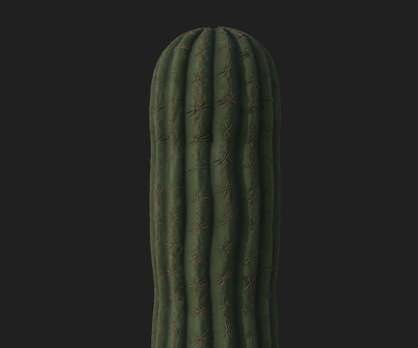ArtStation - Procedural Cactus Generator | Resources