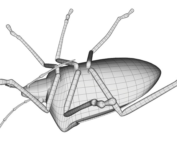 ArtStation - 3D Stinkbug | Resources
