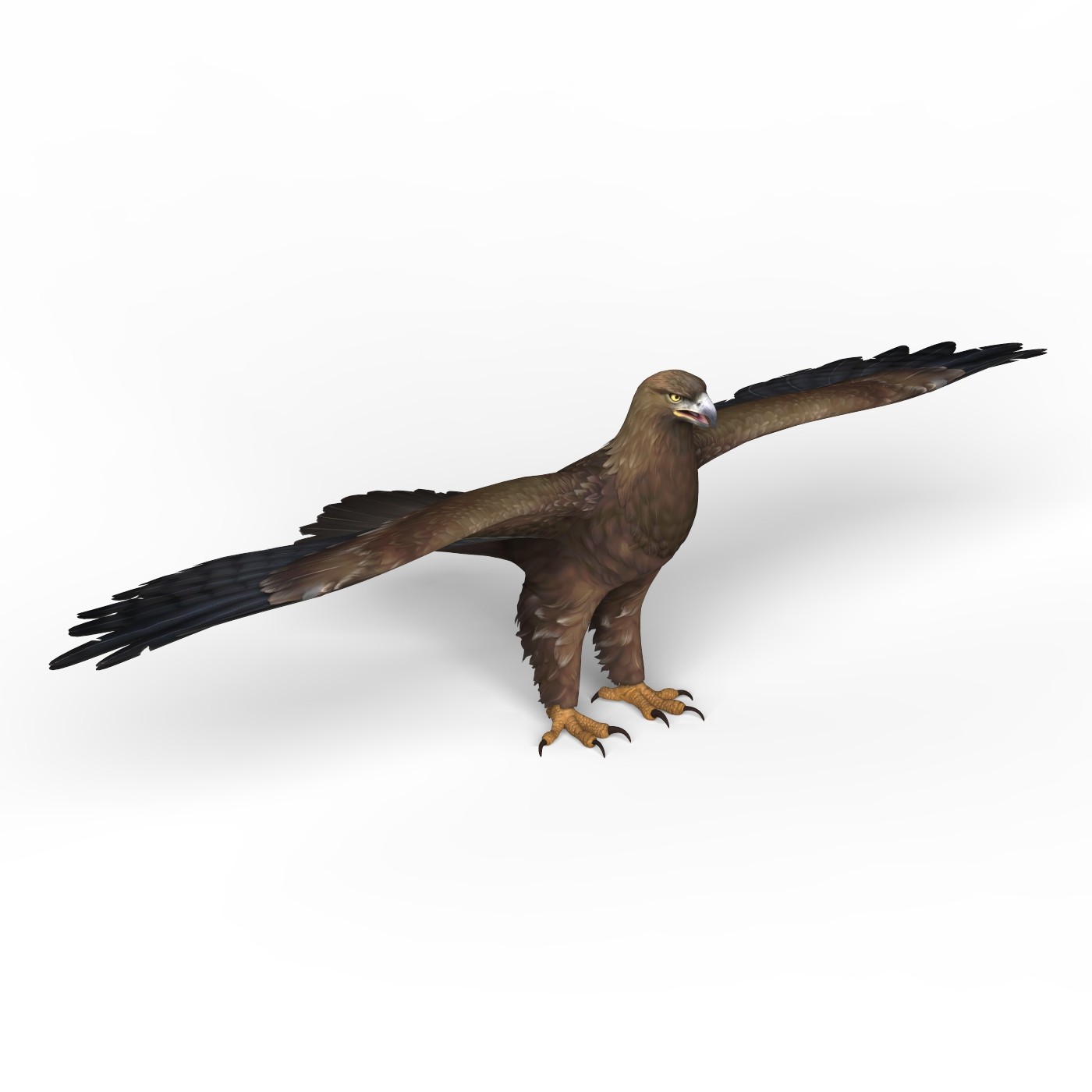 ArtStation - Low Poly Wild Animal 3D Model Collection | Resources