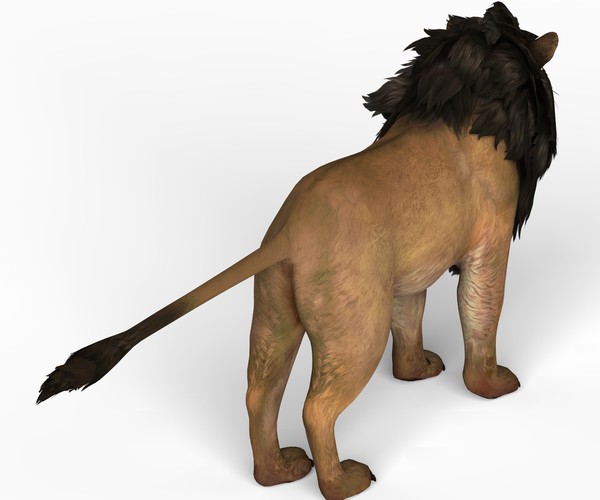 ArtStation - Low Poly Wild Animal 3D Model Collection | Resources