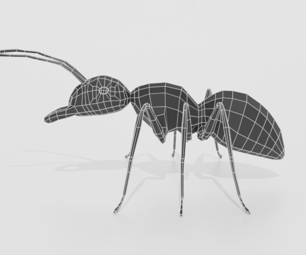 ArtStation - Low Poly Cartoon Ant | Game Assets