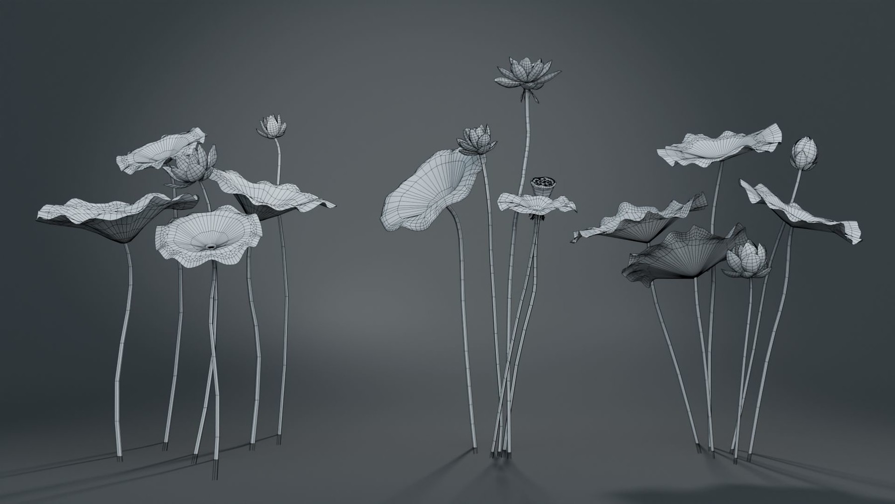 ArtStation - 3D Flower |Lotus Collection vol07 | Resources