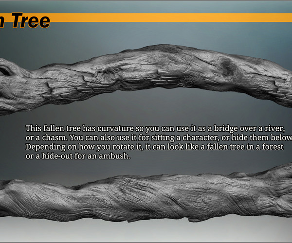 Artstation Forest Kit Multiresolution Trees Objs And Maps Resources