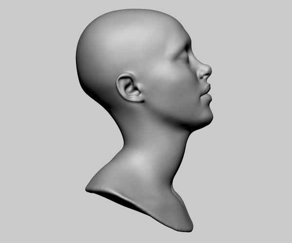 ArtStation - Base Head Models | Resources