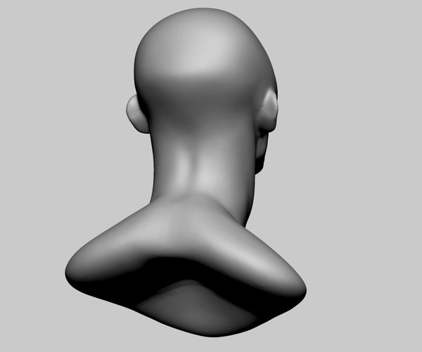 ArtStation - Base Head Models | Resources