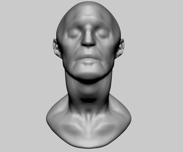 ArtStation - Base Head Models | Resources