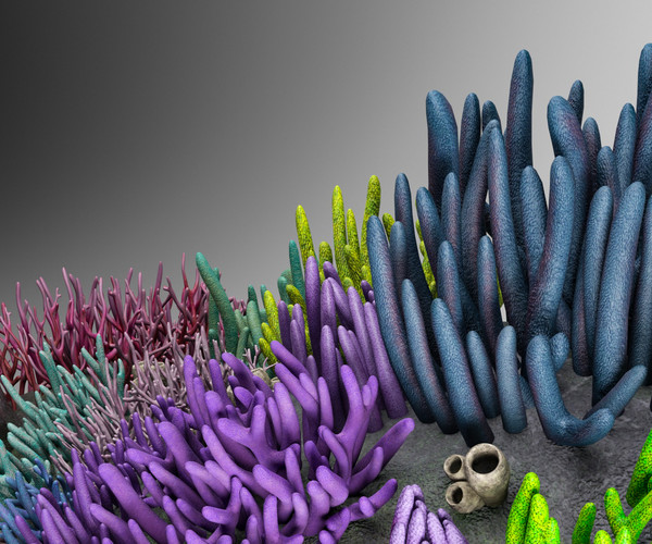 ArtStation - 3D Underwater Ocean Coral Reef | Resources
