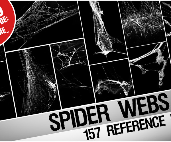 ArtStation - Spider Webs cobwebs - reference images pack | Resources