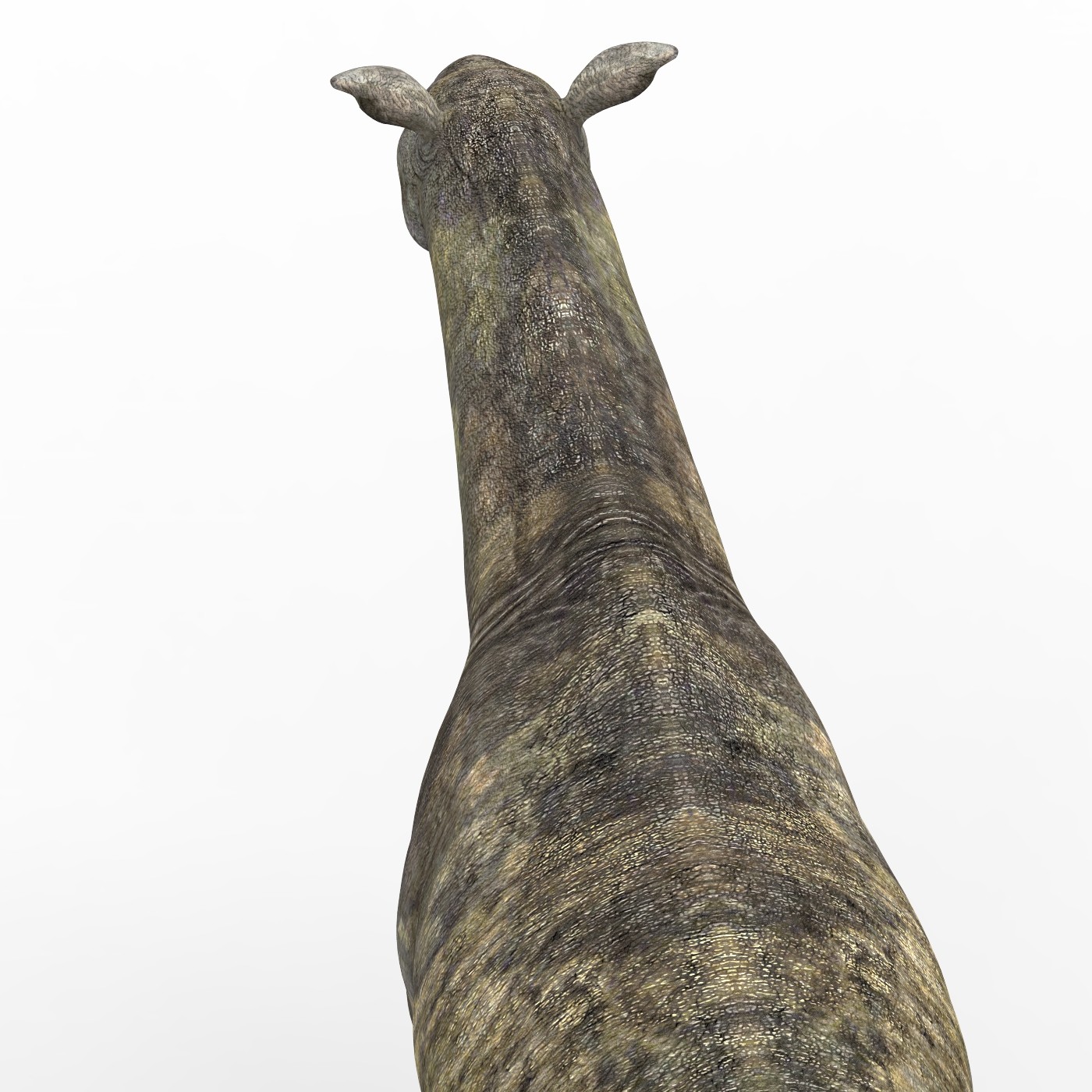 ArtStation - Paraceratherium Dinosaur | Resources