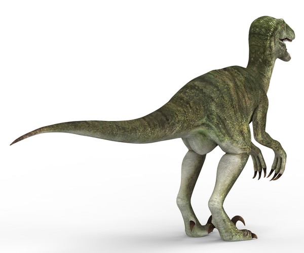 ArtStation - Velociraptor Dinosaur | Resources