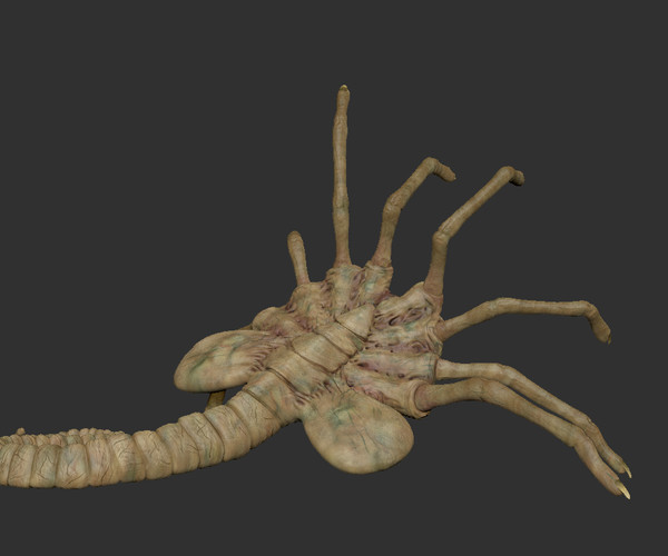 ArtStation - Facehugger, high resolution 3D model. | Game Assets