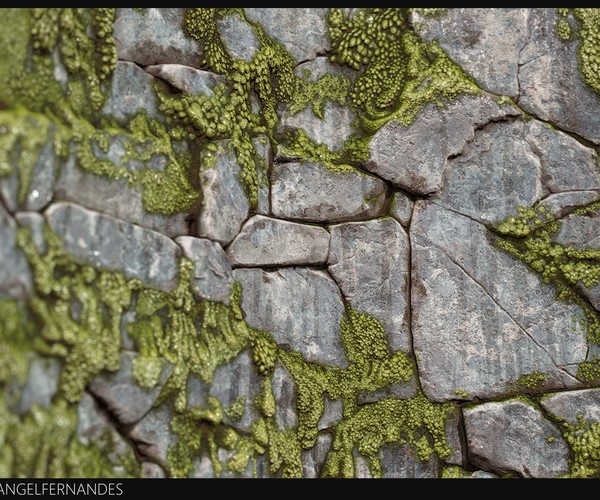 ArtStation - Algae on Stone Material Substance Designer ZBrush | Resources