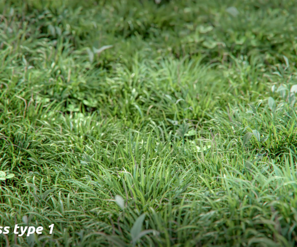 ArtStation - Realistic Grass | Resources