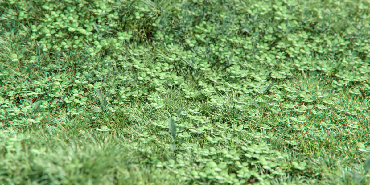 ArtStation - Realistic Grass | Resources