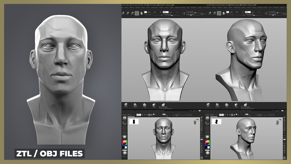 ArtStation - Planes of the Head | Tutorials