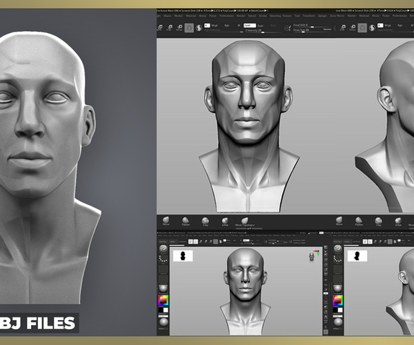 ArtStation - Planes of the Head | Tutorials