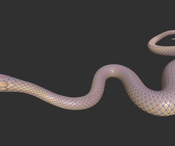 ArtStation - Snakes TTH tools | Resources