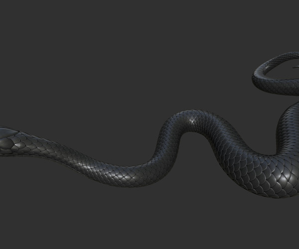ArtStation - Snakes TTH tools | Resources