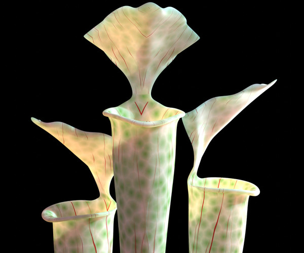 ArtStation - 3D Pitcher plant | Resources