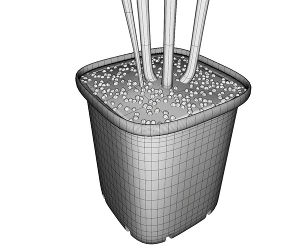 ArtStation - 3D Pitcher plant | Resources