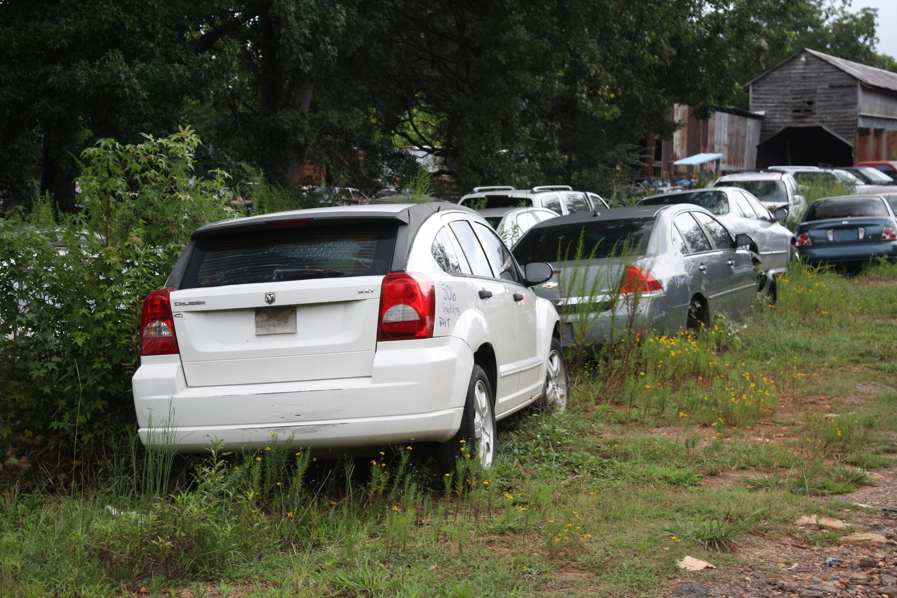 ArtStation - 210 Overgrown Junkyard Photos (Reference/Photobash ...