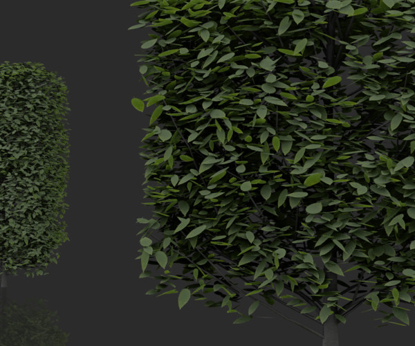 ArtStation - Hedges & Shrubs Pack | Game Assets
