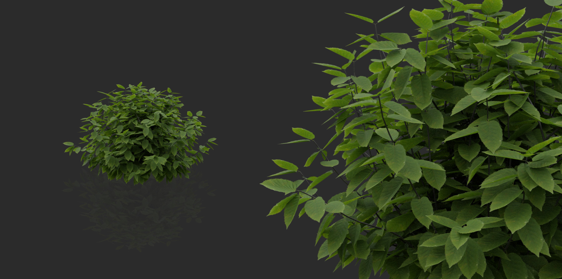 ArtStation - Hedges & Shrubs Pack | Game Assets